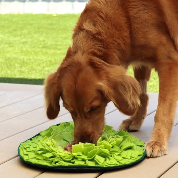 Injoya Avocado Pal Snuffle Mat for Dogs & Cats