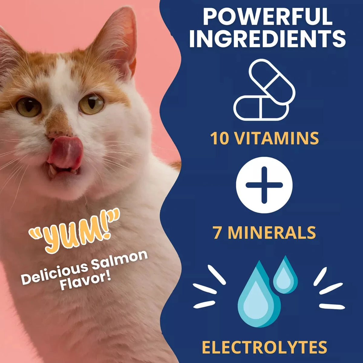 Under the Weather Ready Cal Plus Cat Electrolytes High-Calorie Supplem