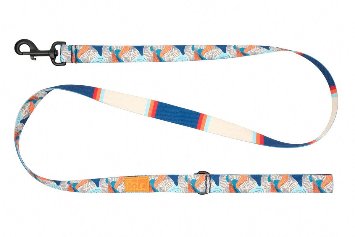 RC Pets Eco Leash for Dogs in Riptide and Coastal Stripe Patterns