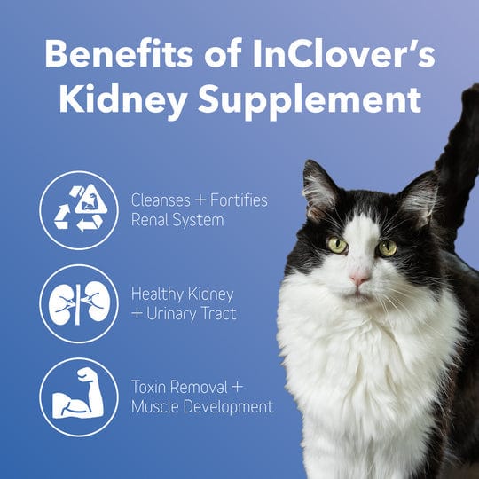 InClover BioRen Bladder & Kidney Health Powder Supplement for Dogs & C