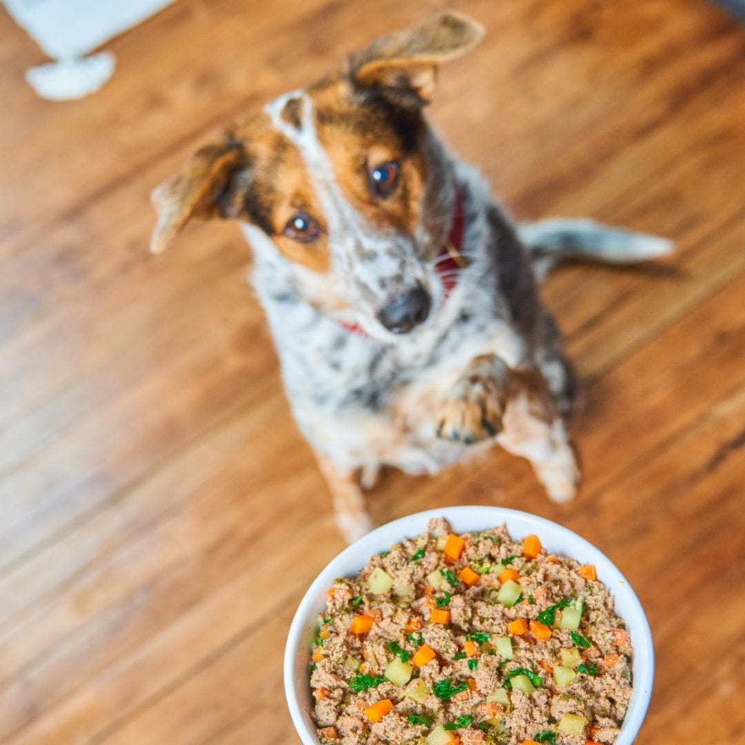 Stella & Chewy's FreshMade Meat-a-Palooza Gently Cooked Dog Food